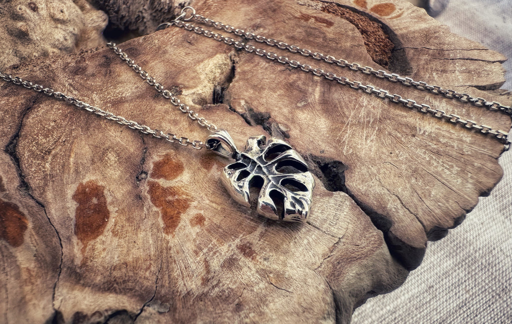 Monstera – Fortunate Wanderer